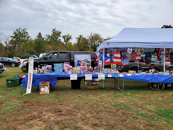 A rainbow explosion of toys that would make any grandparent the hero of birthdays and holidays for years to come.