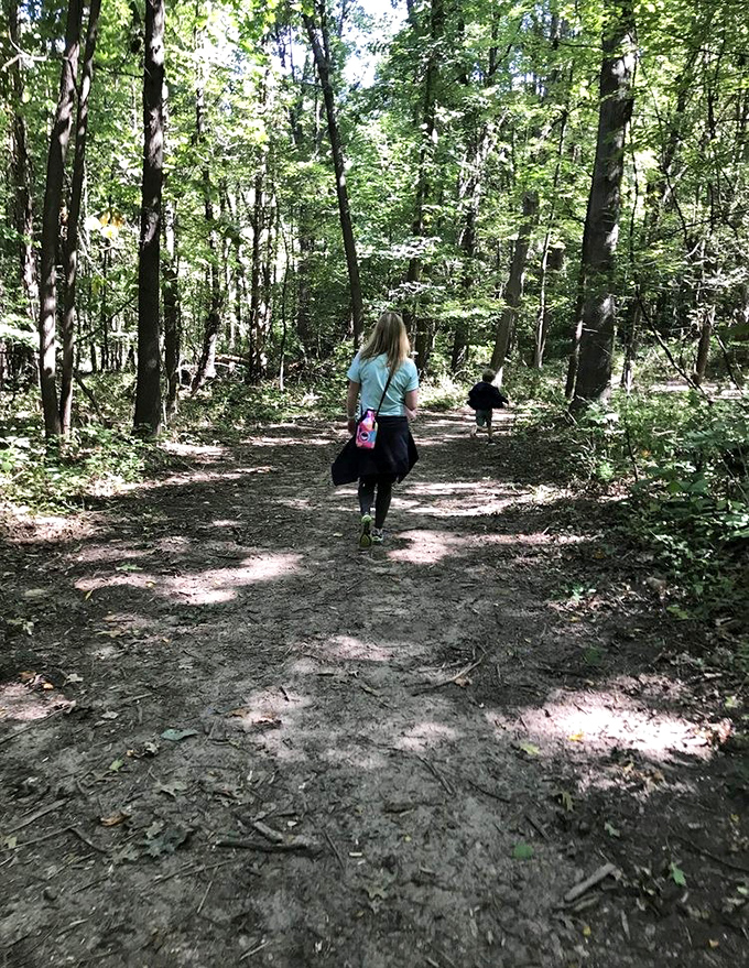 Woodland trails invite visitors to walk off that wine flight, proving that nature appreciation and wine appreciation make perfect companions.