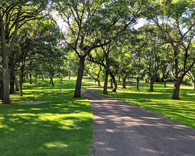 Oak sentinels line this sun-dappled trail, creating nature's cathedral. Walking here feels like stepping into a painting that changes with each season.