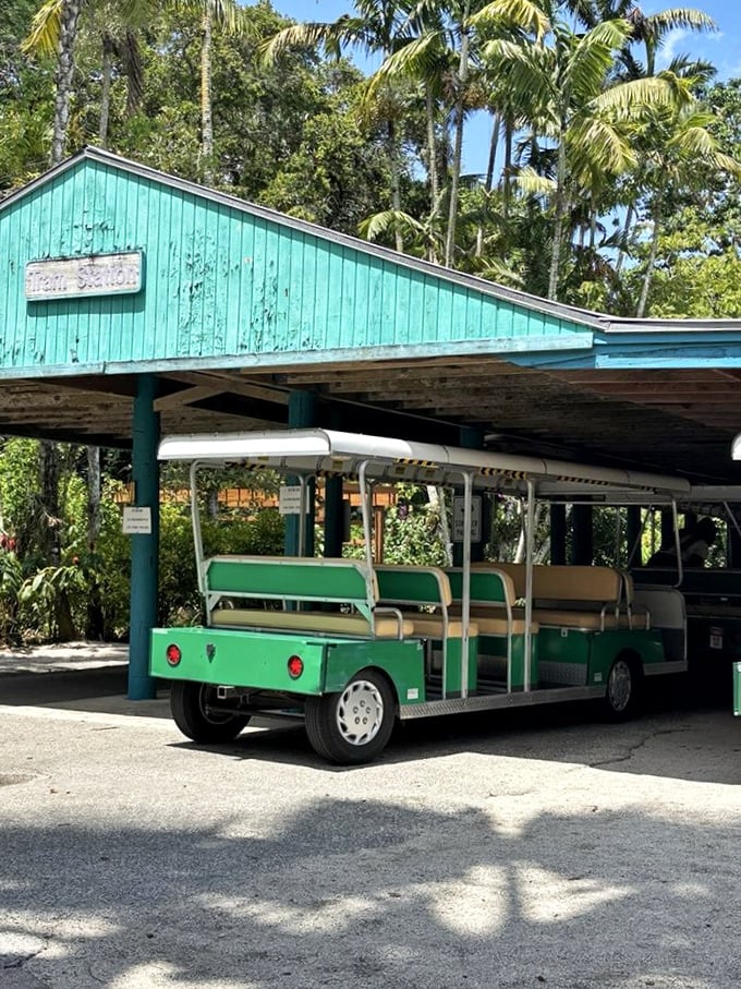 All aboard the garden express! The narrated tram tour lets you experience Flamingo Gardens while giving your feet the break they've been lobbying for.