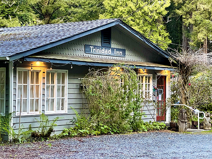 The Trinidad Inn &ndash; where cozy meets the coast and nobody's in a hurry to leave.
