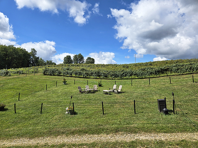 Those Adirondack chairs overlook vineyard rows where grapes are busy becoming your next favorite Ohio wine. Pull up a seat.