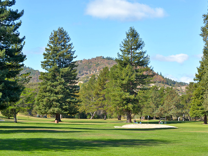 The Ukiah Valley Golf Course proves that even a mediocre golfer can have an extraordinary day when surrounded by California's natural splendor.