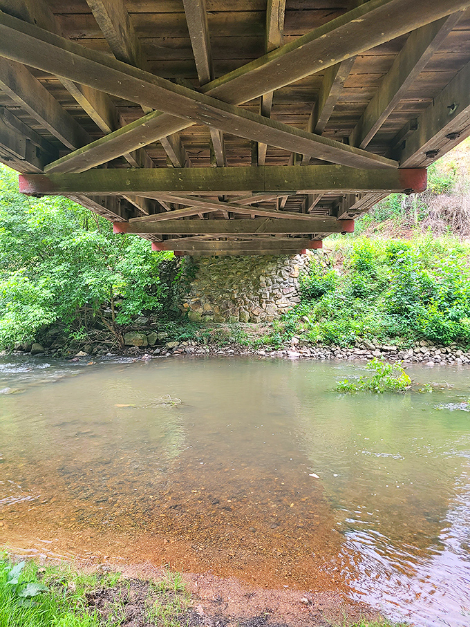 The view from inside frames the Virginia countryside like a living postcard&mdash;nature's gallery through a wooden portal.