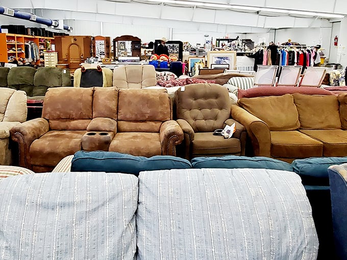 Sofa safari at its finest &ndash; where that impossibly comfortable couch might just follow you home for less than the cost of dinner for two.