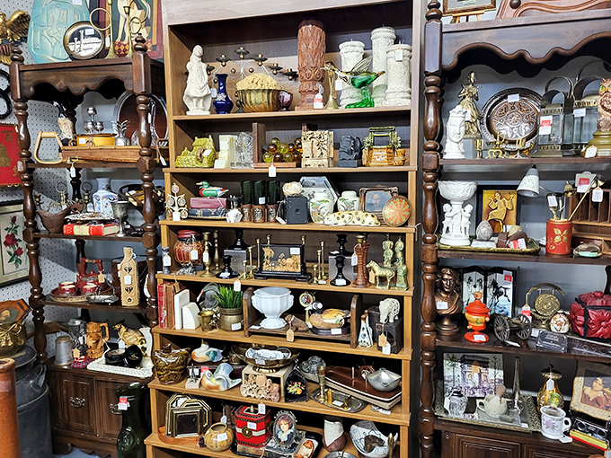 Shelves packed tighter than a suitcase before vacation. Every figurine and trinket patiently waiting for its next admirer.