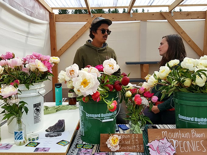 Youth meets beauty at the peony stand. Alaska's short but intense growing season produces flowers with colors so vivid they seem to have their own internal light source.