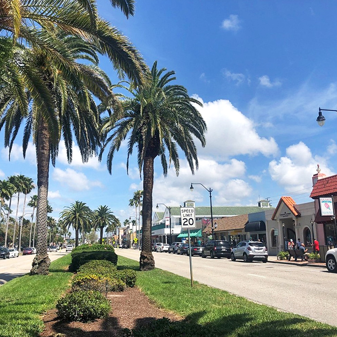 Downtown Venice's palm-lined streets offer shade and style in equal measure. Window shopping has never had such a picturesque backdrop.