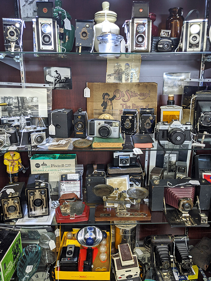 A time capsule of photography evolution. Before selfies, these mechanical marvels required actual skill and patience.