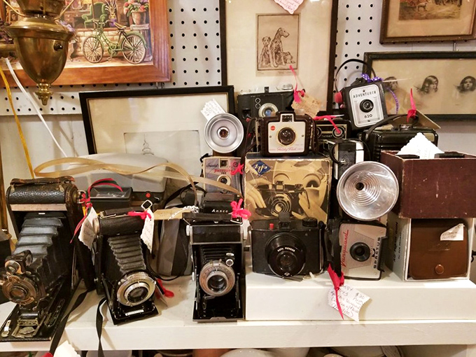 A photographer's dream collection! These cameras captured weddings, birthdays, and history long before smartphones made everyone a documentarian.