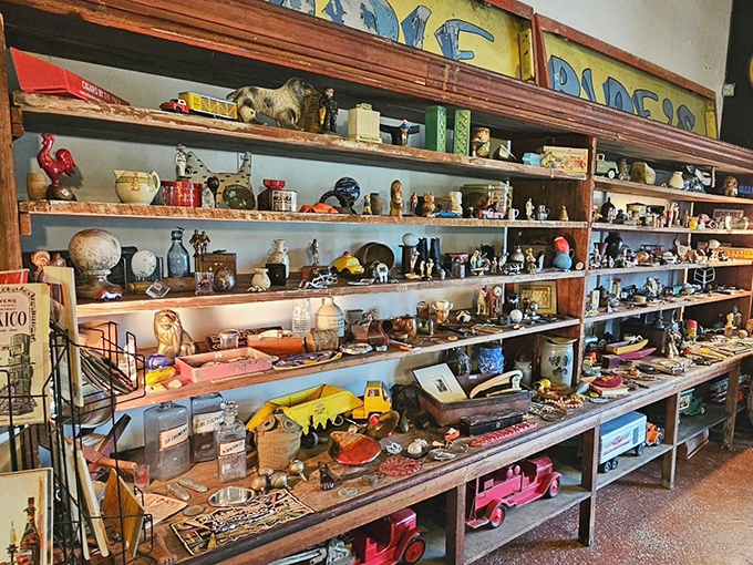 This isn't hoarding; it's curating! Each shelf contains dozens of potential conversations, from vintage toys to quirky kitchenware waiting for their next chapter.