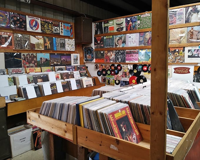 Vinyl heaven for analog souls. Each record sleeve is a time machine waiting to transport you back to your first dance, first heartbreak, first everything.