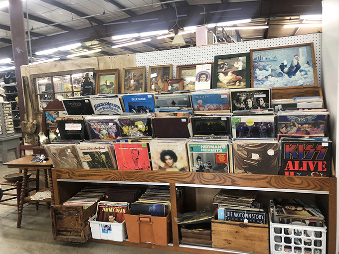 Vinyl records that once soundtracked first dates and family dinners now wait for their second act. That KISS Alive album might just be your teenager's gateway to appreciating "real music."