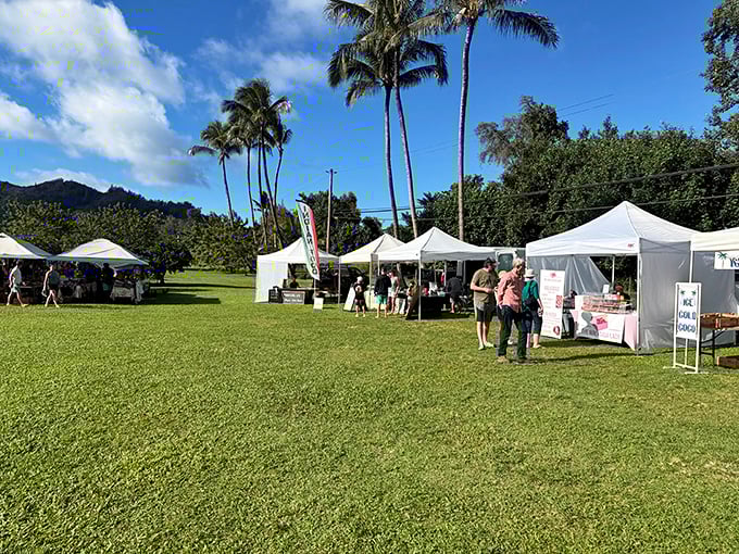 Saturday farmers market where the tomatoes are local and the conversations last longer than your shopping list.