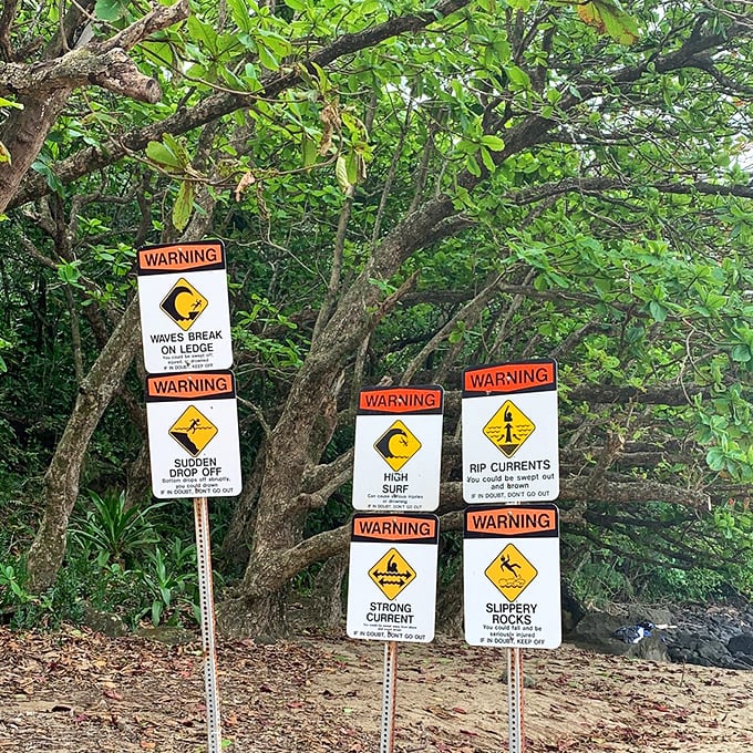 Nature's fine print: These warning signs are basically Hawaii saying, "I'm gorgeous but I don't make promises."