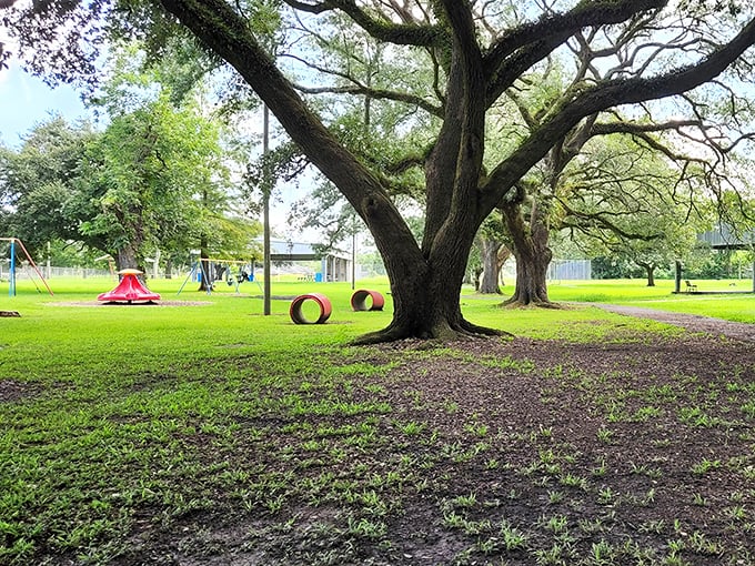 Ancient oaks create nature's playground in this park, their sprawling branches offering shade and a reminder of nature's patient magnificence.