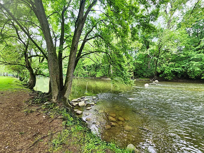 The White River winds through Muncie like a liquid timeline, offering peaceful banks where you can dip your toes into both cool water and quiet reflection.