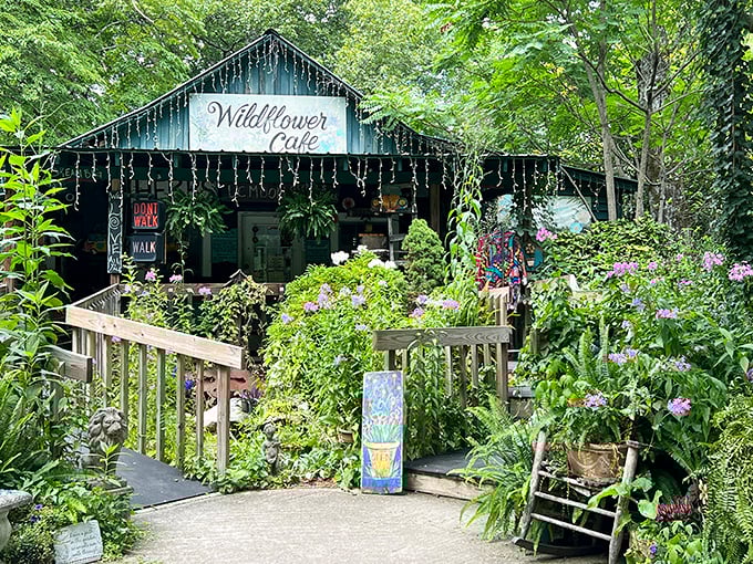 The Wildflower Caf&eacute; looks like it sprouted organically from the forest floor. Fairy lights and lush gardens create an entrance that promises enchantment before you've even tasted the food.