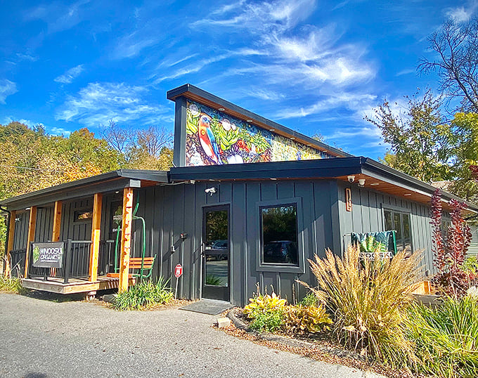 Colorful murals brighten the exterior, turning everyday buildings into conversation starters that actually deserve the conversation they start. 