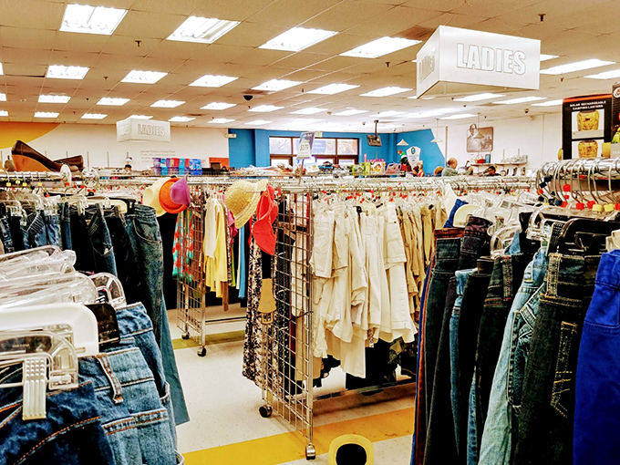 Ladies' fashion stretches endlessly, offering style options that would make even Marie Kondo spark with joy.