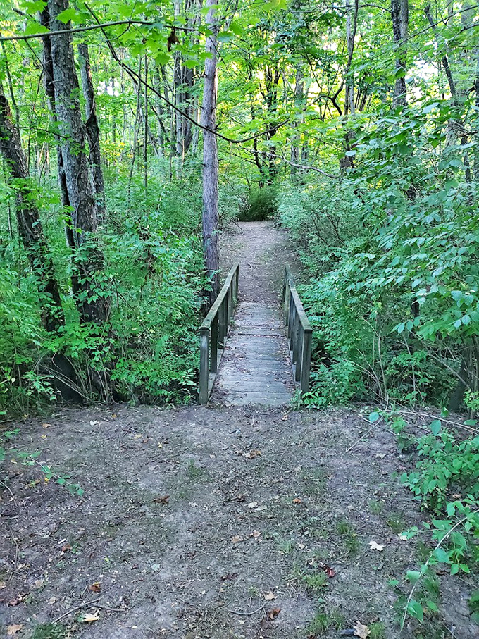 This little bridge leads to big adventures – or at least a nice shady spot.