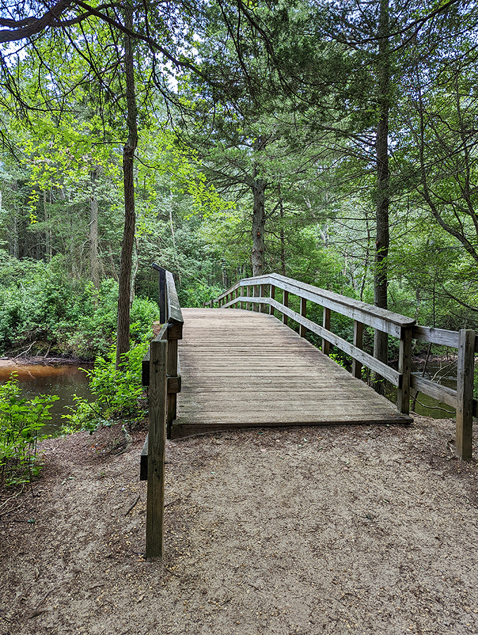 Not all who wander are lost, especially on this charming wooden footbridge that invites exploration of the park's hidden corners.