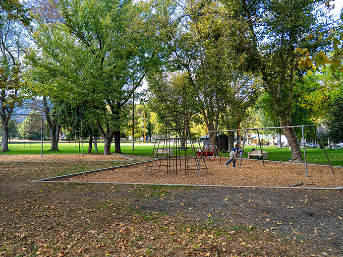 Kids play in Yreka's park under trees that have witnessed generations of families enjoying simple pleasures without emptying their wallets.