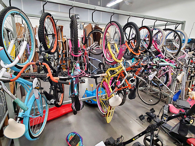 Bicycle heaven! A kaleidoscope of wheels and frames hanging like colorful metal fruit, ready to roll into new adventures.