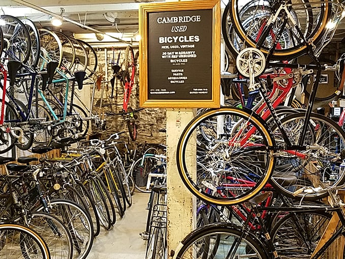 Bicycle heaven in the basement! From classic Schwinns to European racers, this two-wheeled collection proves everything old wheels again.