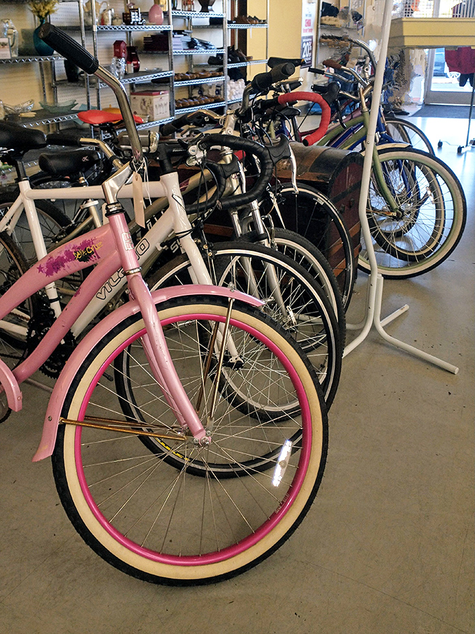 A colorful brigade of bicycles stands ready for adoption, including that pink cruiser that's practically begging for basket and bell accessories.
