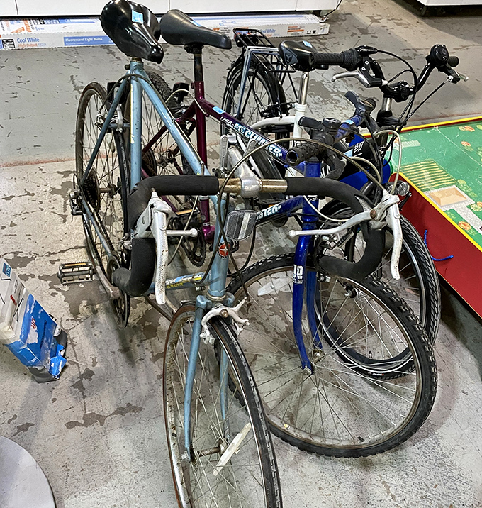 A bicycle brigade awaiting new adventures. These trusty steeds have stories to tell and miles yet to travel on Wisconsin's scenic trails.