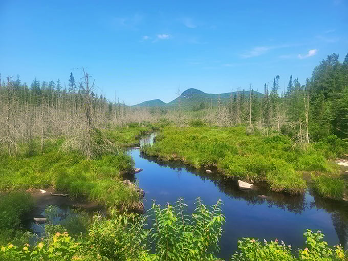 Nature's own reflecting pool. This serene bog waterway mirrors the sky while whispering tales of ancient glacial movements.