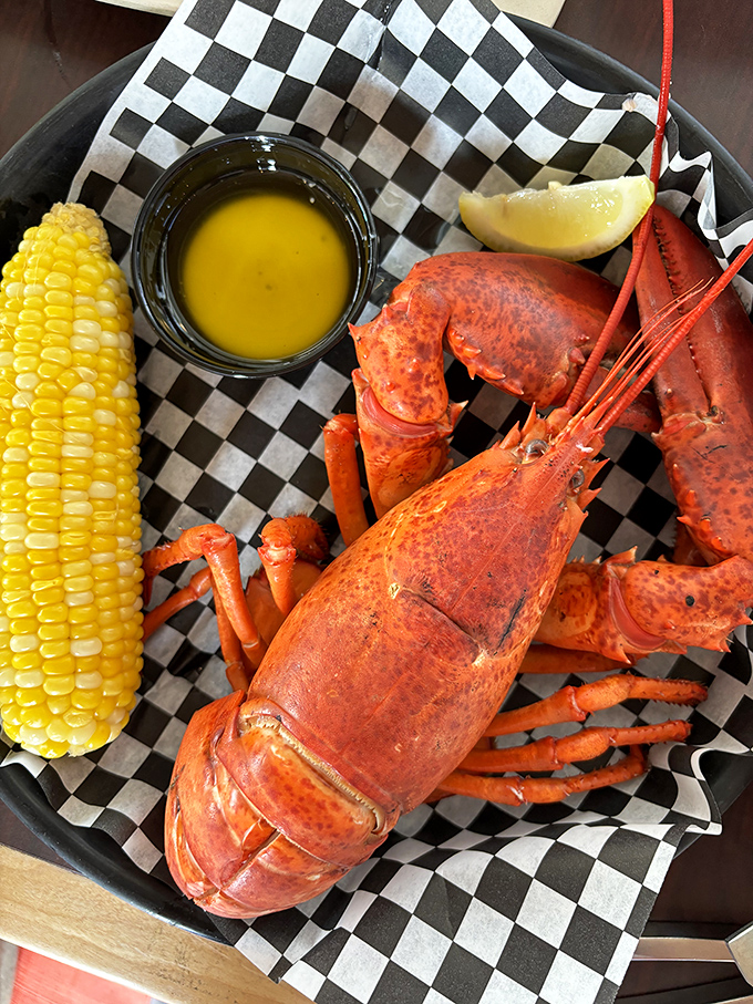 When a lobster looks this good, butter is just the supporting actor in a seafood blockbuster starring this crimson crustacean.