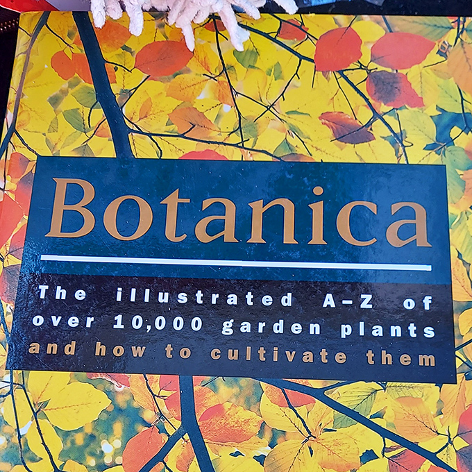 Hidden between stuffed animals and coffee mugs: a comprehensive gardening encyclopedia that someone paid $50 for last year and you'll take home for pocket change.