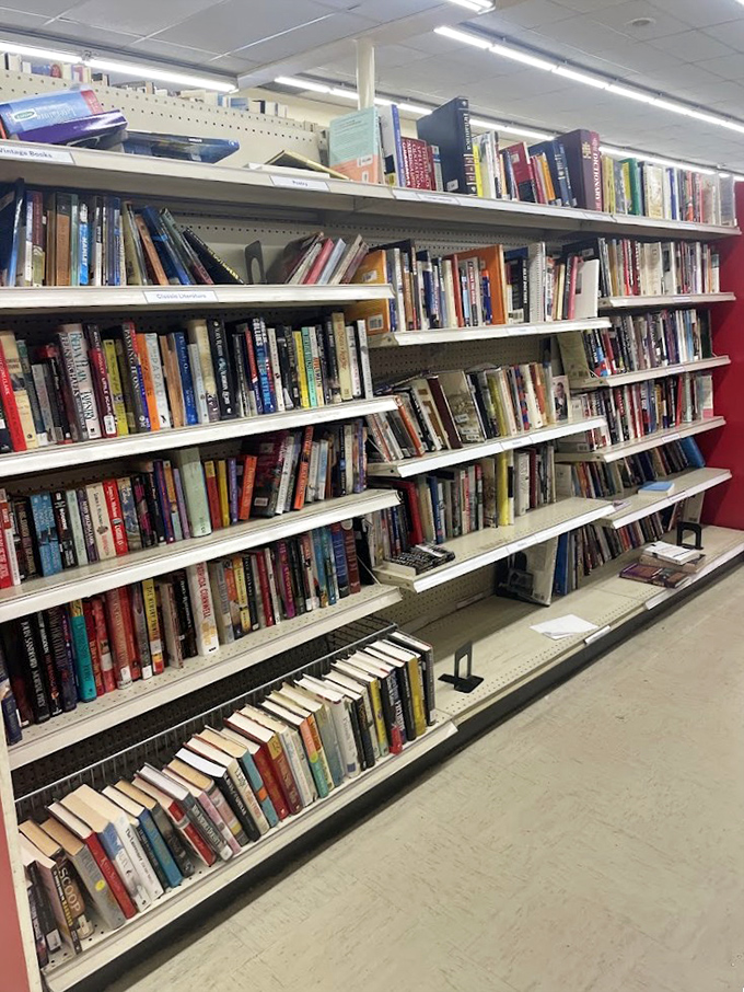 The book section rivals small libraries, offering literary journeys from bestsellers to obscure gems for less than a streaming subscription.