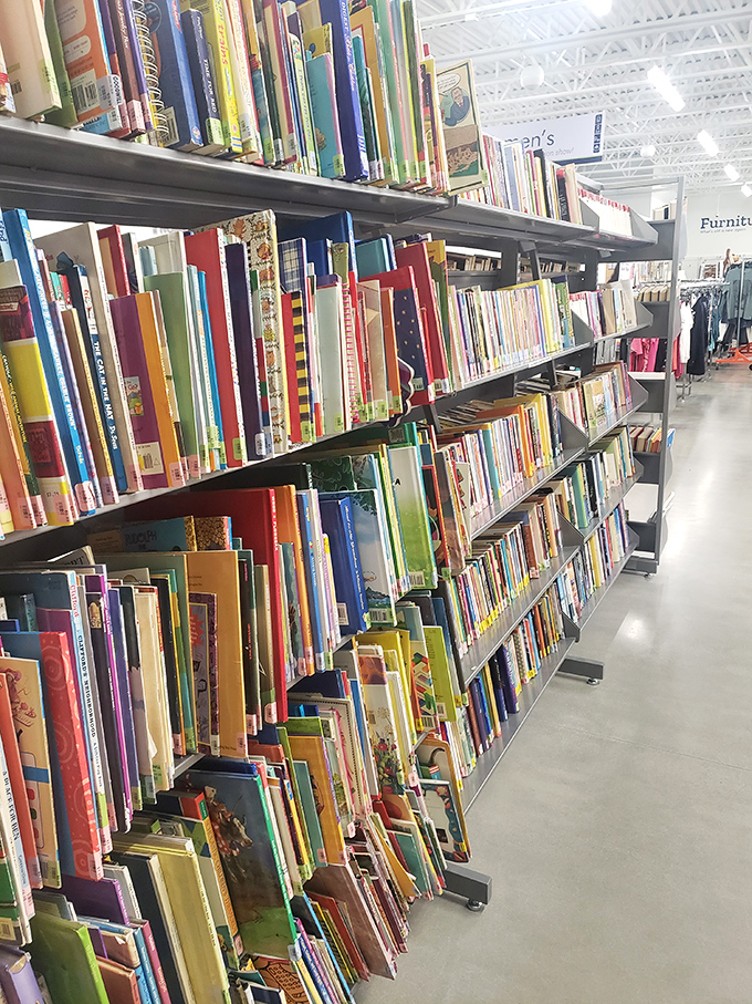 A library where every book costs less than a coffee. Browse titles spanning decades—literary archaeology without the dust!