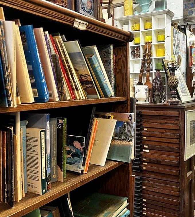 Books that smell like wisdom. This collection offers knowledge that Google can't replicate&mdash;the tactile joy of discovering dog-eared treasures.