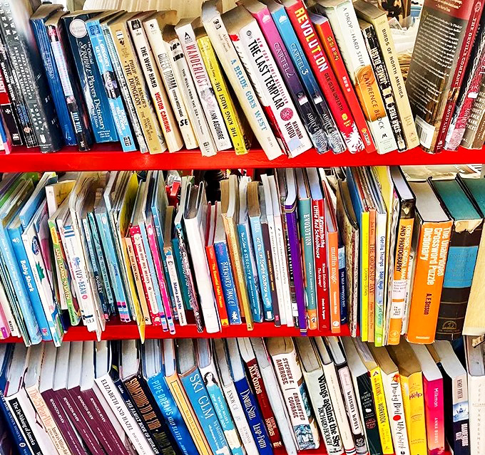 Literary treasures stacked like the world's most delicious layer cake. Each shelf a different flavor of escape, adventure, and wisdom.