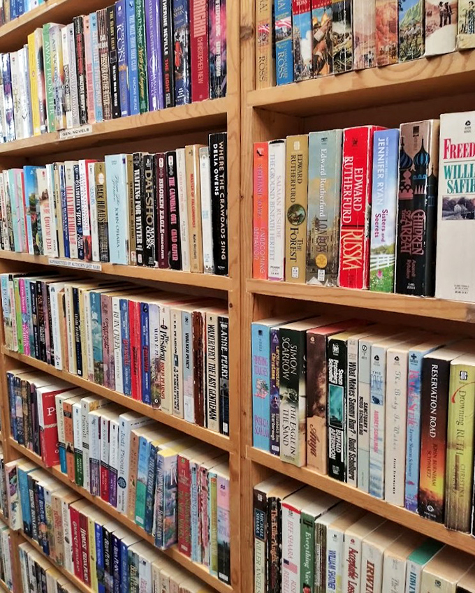 Spines lined up like old friends at a reunion, each book holding worlds of adventure that cost less than your morning coffee.