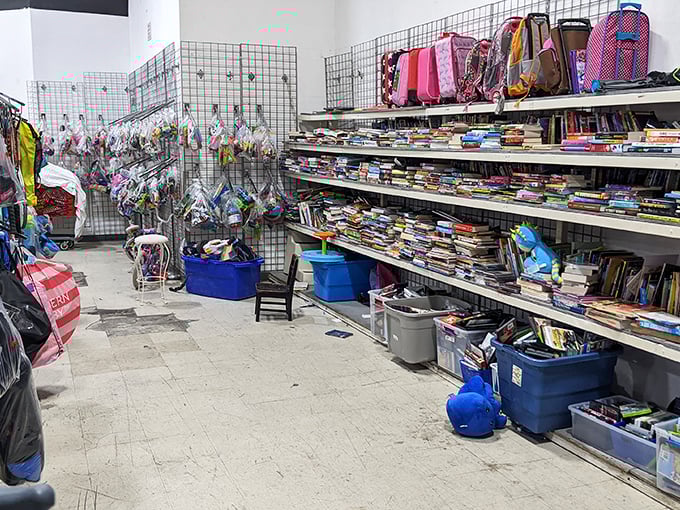 Literary treasures and childhood delights share space in this corner, where dog-eared paperbacks and forgotten board games find second chances.