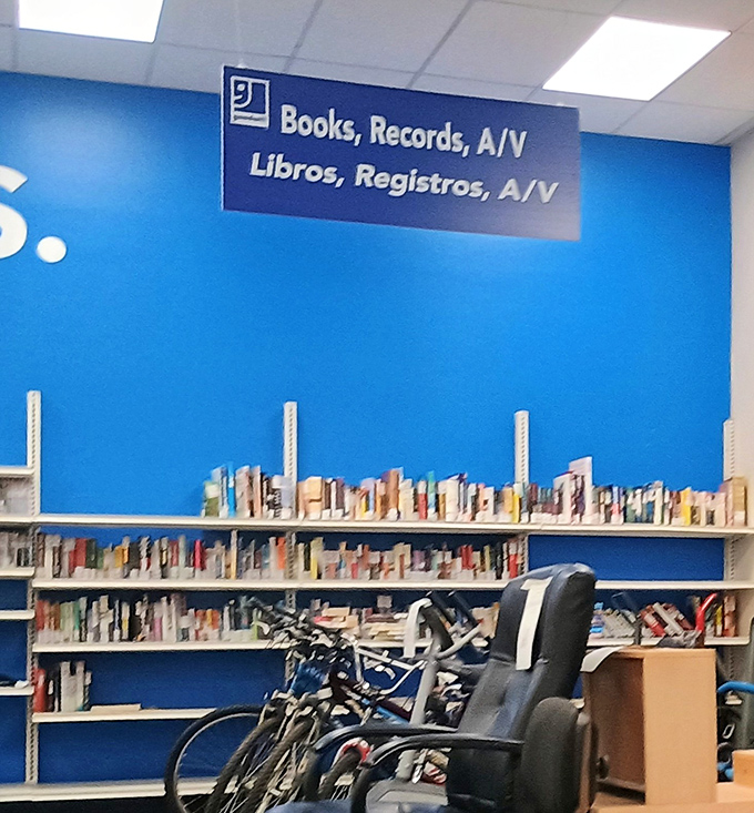 Books, records, and media galore! The blue wall serves as backdrop to countless stories waiting for their next chapter.