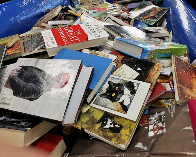 Literary treasures stacked like lasagna layers. That cat photography book might be the coffee table statement piece you never knew you needed.