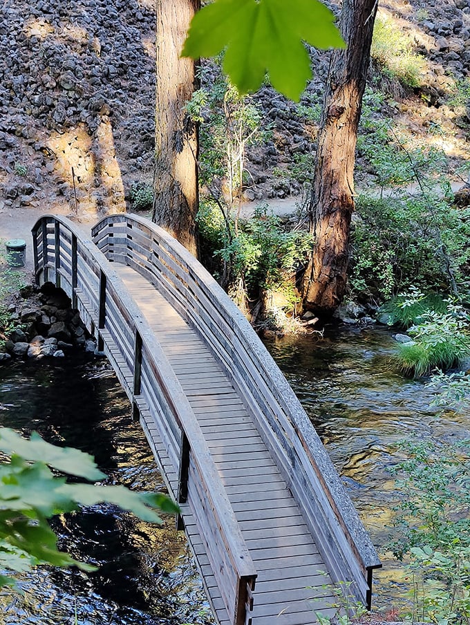 This charming footbridge crosses the creek, inviting hikers to pause and play a quick game of "Pooh Sticks" before continuing their journey.