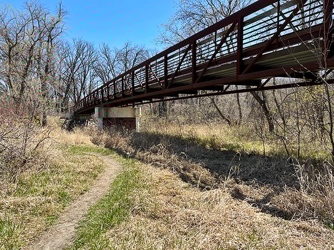 This modern footbridge spans the gentle valley, connecting trails while offering panoramic views of the surrounding wilderness.