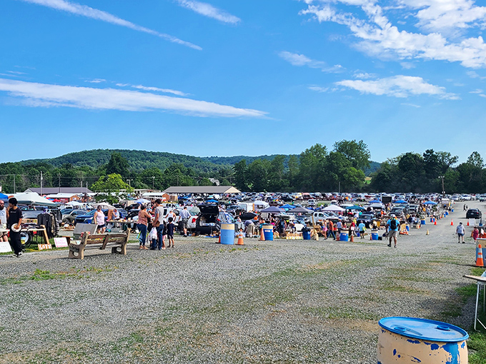 The rolling hills of Berks County provide the perfect backdrop for Pennsylvania's greatest gathering of the curious and collectible.