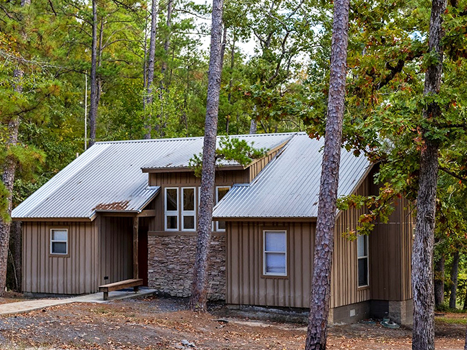 Not just a cabin in the woods &ndash; it's your temporary mansion where pine-scented luxury meets rustic comfort.