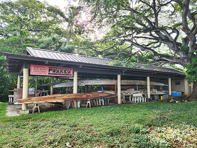 The canoe hale stands ready to teach lessons that textbooks simply cannot capture about Hawaiian seafaring traditions.