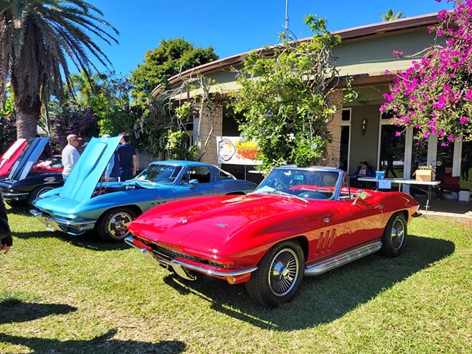 Classic cars lounging on the lawn like colorful tropical fish. Corvettes and convertibles showing off their curves among the garden's natural beauties.