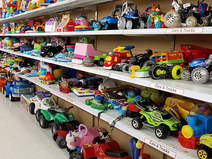 Vrooom for imagination! Toy vehicles of every description await young drivers, from classic fire trucks to monster trucks ready for desert adventures.