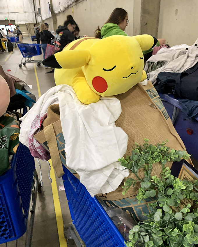 Look closely at this shopper's haul&mdash;a sleeping Pikachu nestled among linens and greenery tells its own delightful story of rescue and redemption.